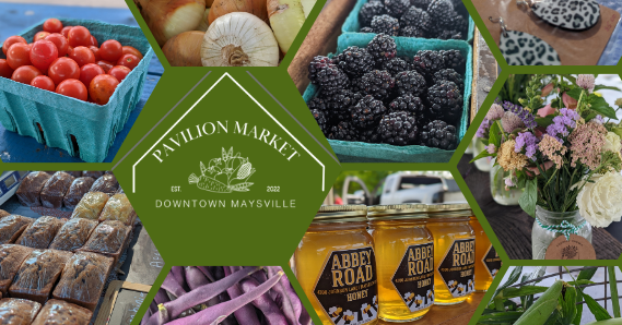 Pavilion Farmers Market, Maysville Kentucky